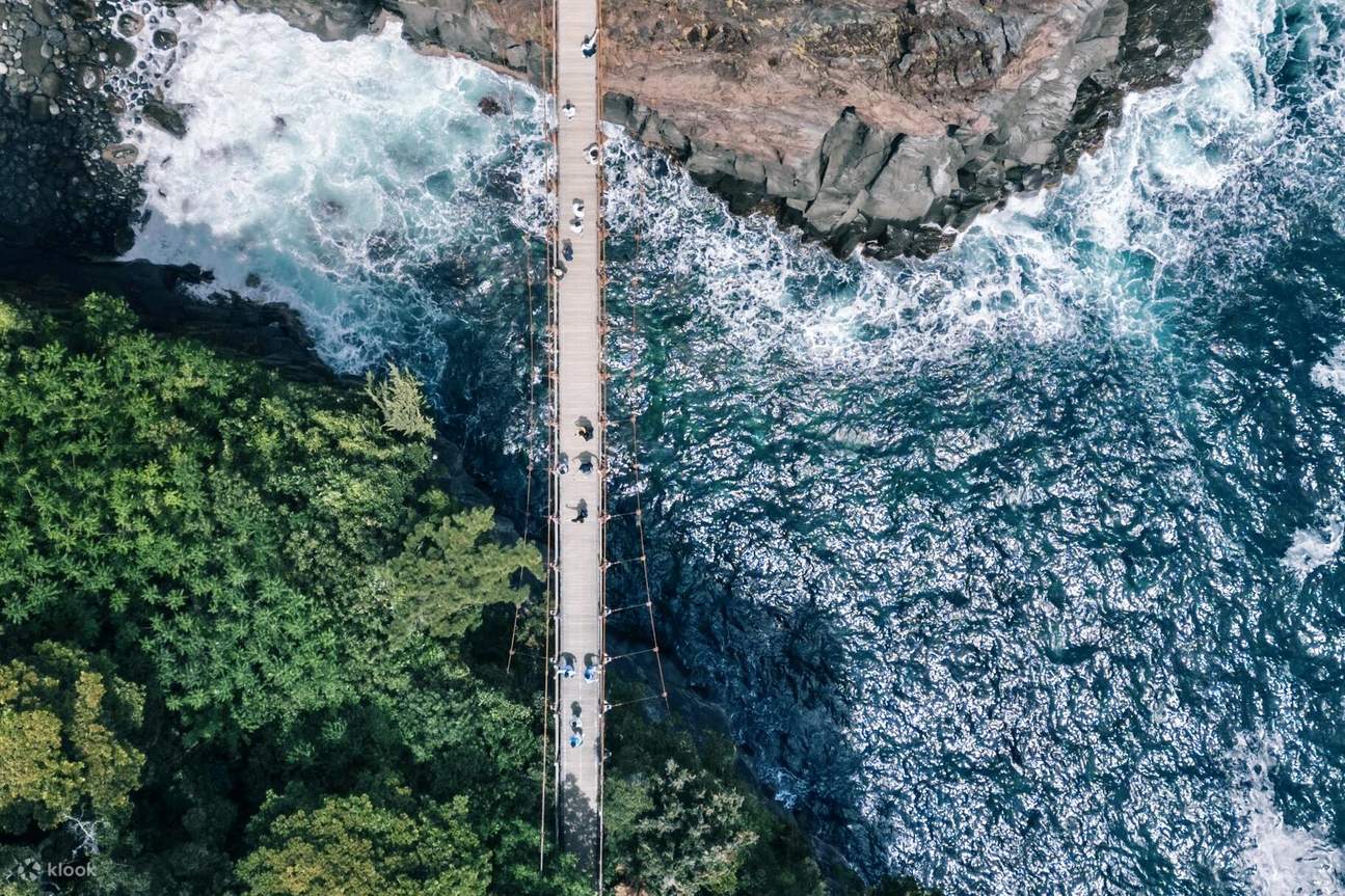 [Summer Limited] Atami Kinomiya Shrine, Izu Omuroyama, Cactus Zoo, and ...